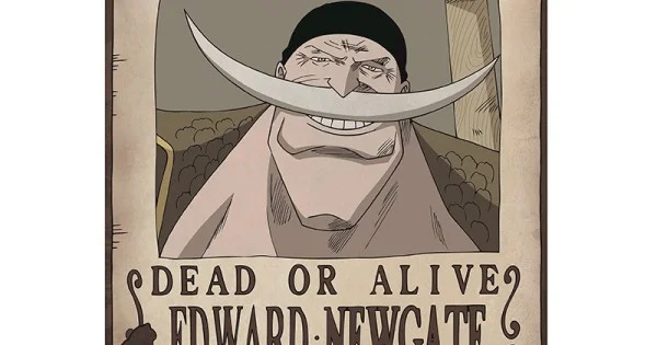 ABYstyle One Piece Poster Chibi 35 x 52 cm - Wanted Whitebeard - Plakāts